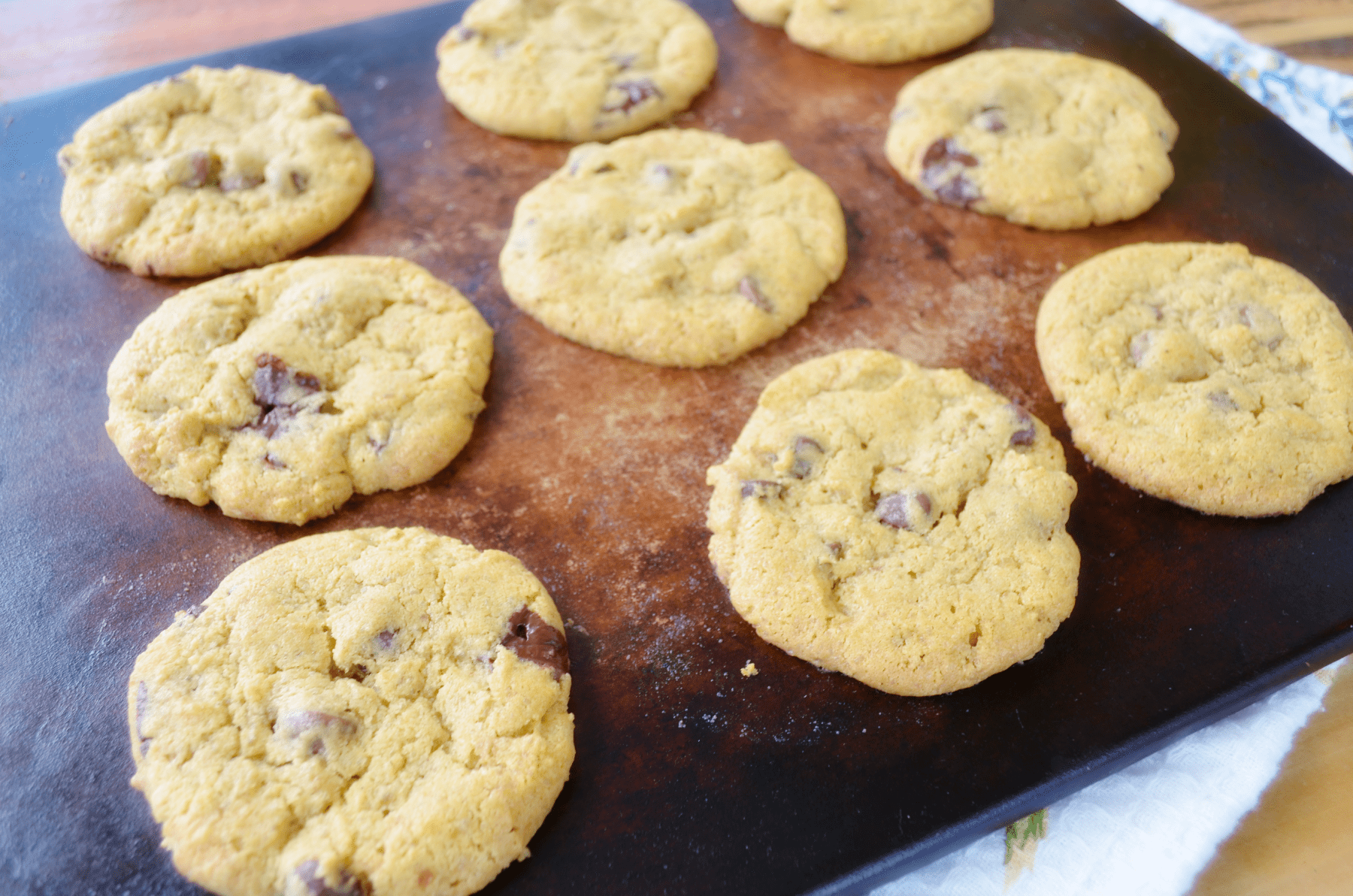 Best Recipe for Chewy Einkorn Chocolate Chip Cookies - Hilltop in the ...