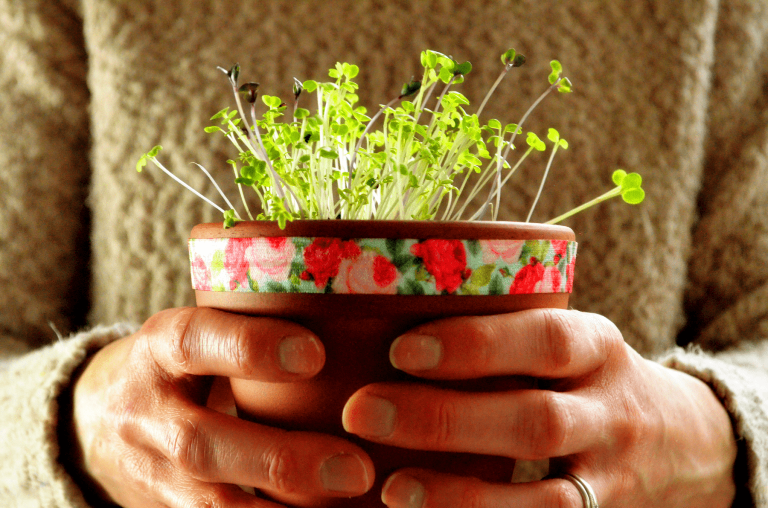 How to Make Home Made Herbal Iced Tea - Hilltop in the Valley