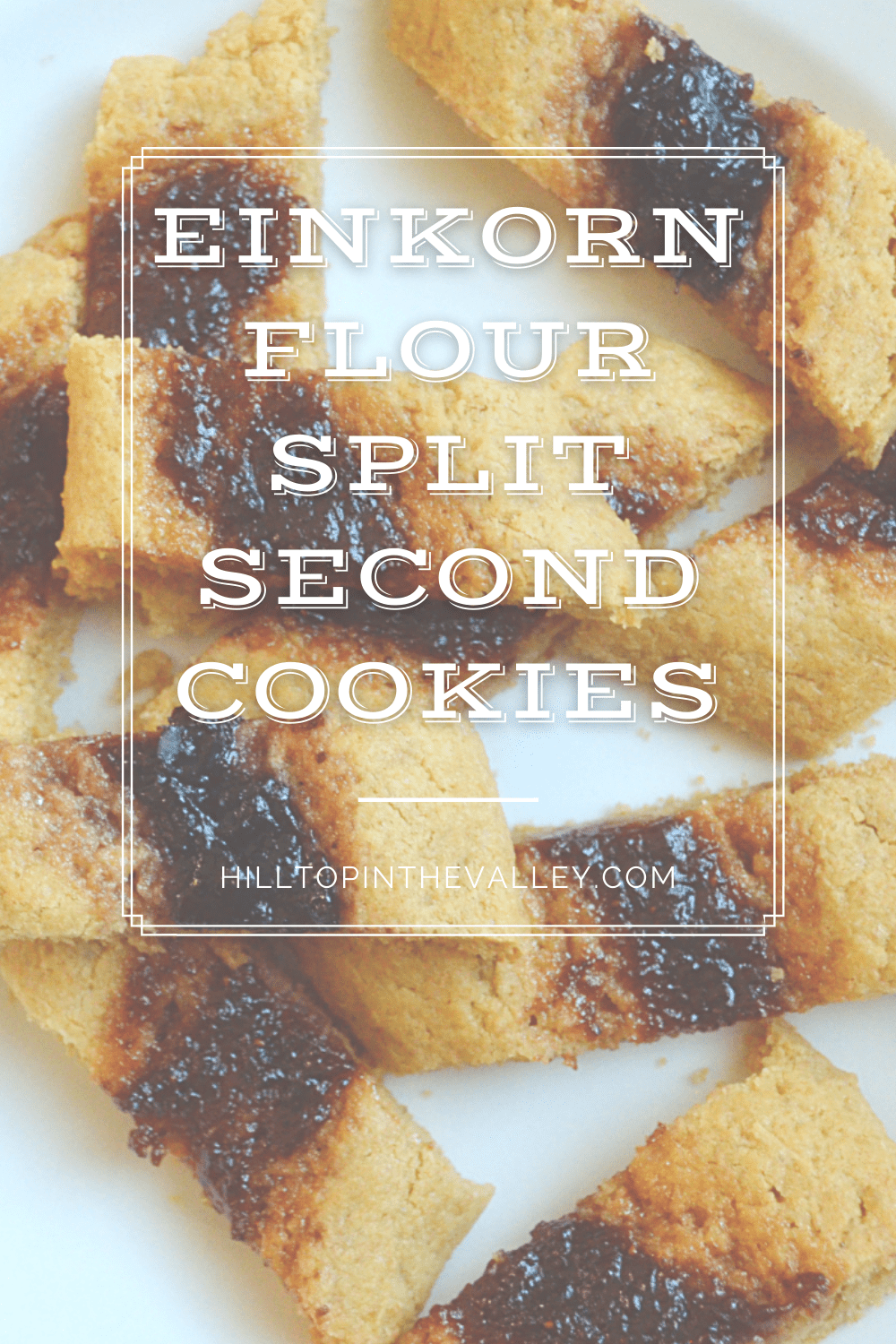 How to Make Einkorn Split Second Cookies - Hilltop in the Valley