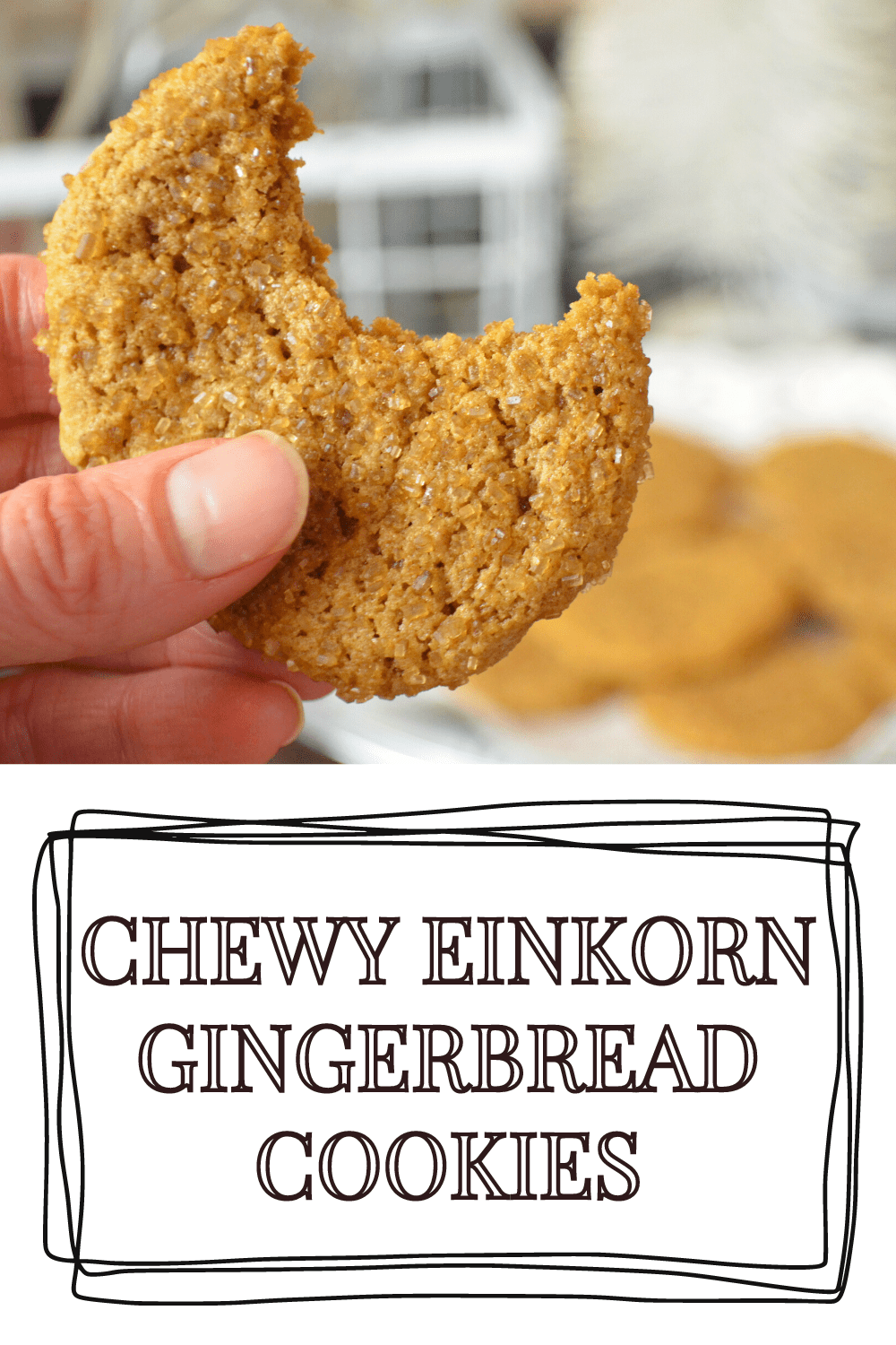 Soft and Chewy Einkorn Gingerbread Cookies in a Hurry - Hilltop in the ...